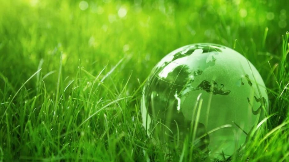 Eco Web Hosting | The Significant Positive Impact It Could Make